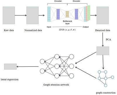 Frontiers | SCDRHA: A scRNA-Seq Data Dimensionality Reduction Algorithm Based on Hierarchical ...
